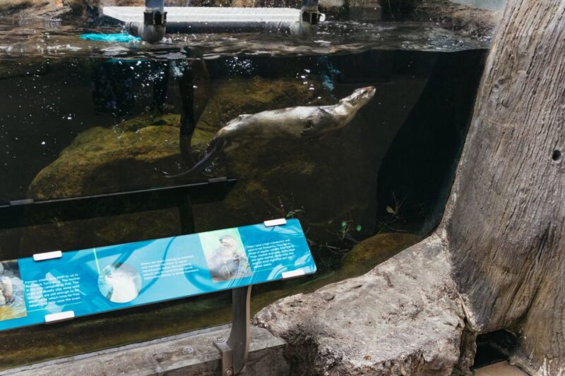 The Florida Aquarium Ticket - FAQs