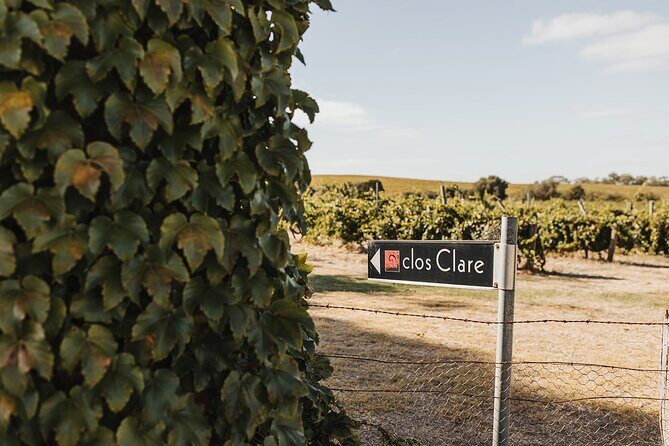 The Florita Wine Tasting Experience - Practical Details