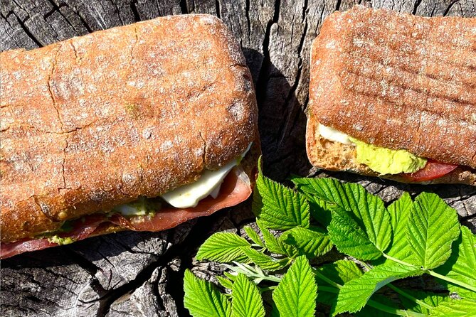 The Forest Tower and Forgotten Giants Review - Exploring the Forest Tower