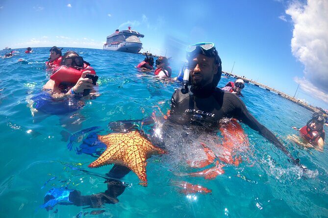 The Frederiksted St. Croix Sea Turtles Snorkeling Tour - What to Expect on the Tour