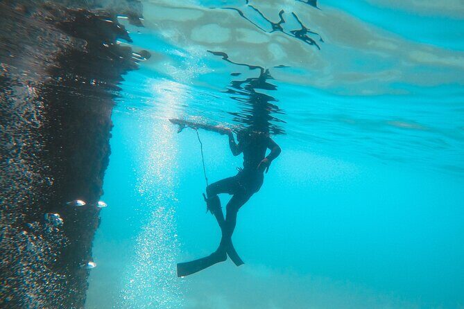 The Frederiksted St. Croix Sea Turtles Snorkeling Tour - The Sum Up