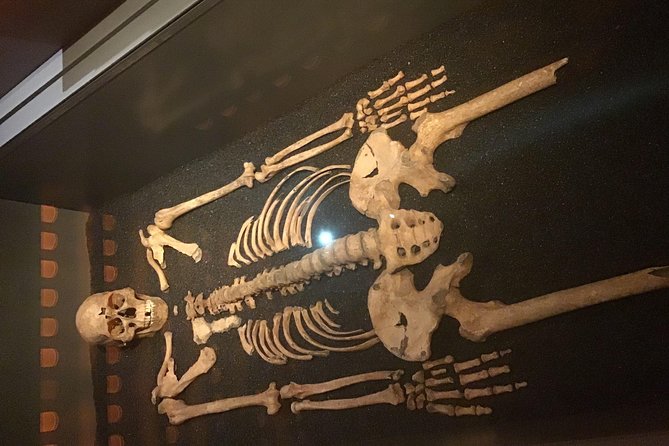 The Freemasons Tour of London - An In-Depth Look at the Tour