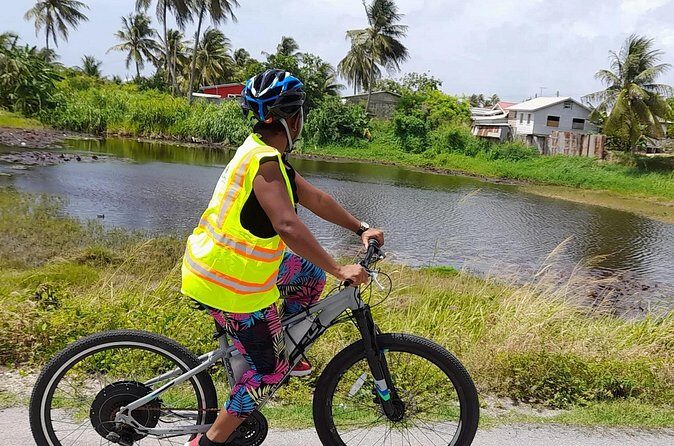 The Full Tour Lower East Coast Barbdos E-Bike Tour - What Travelers Are Saying (Based on Reviews)