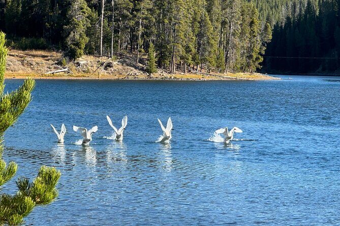 The Full Two Day Private Yellowstone Day Trips West Yellowstone - Frequently Asked Questions