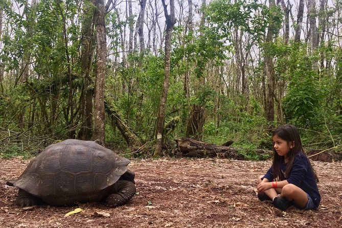 The Galapagos Giant Tortoise Experience | Los Gemelos | Shared - Meeting and Accessibility