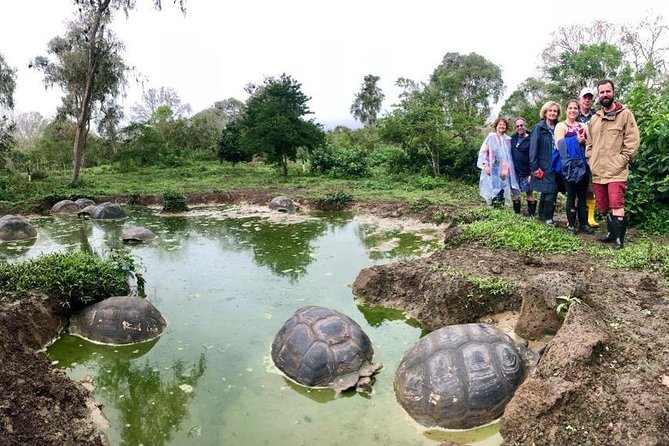 The Galapagos Giant Tortoise Experience | Los Gemelos | Shared - Hiking the Scalesia Cloud Forest