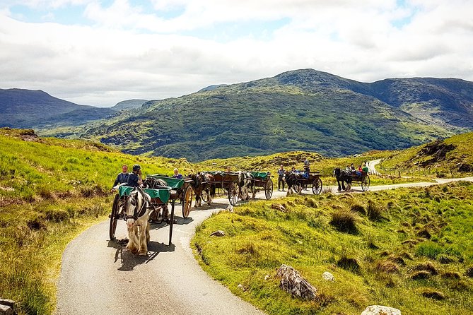 The Gap of Dunloe Adventure Day Tour From Killarney - Whats Included