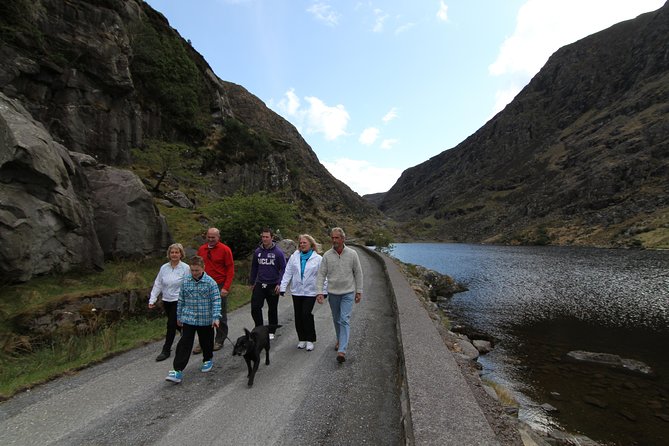 The Gap of Dunloe Full-Day Tour From Killarney - Meeting Point and Logistics