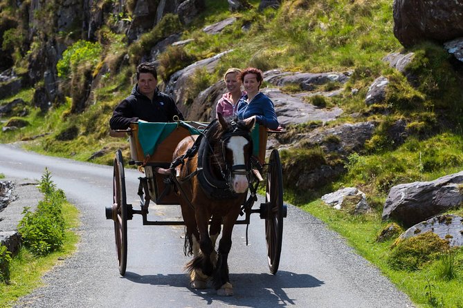 The Gap of Dunloe Full-Day Tour From Killarney - Accessibility and Physical Requirements