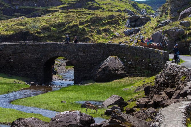The Gap of Dunloe Full-Day Tour From Killarney - Customer Feedback and Experiences