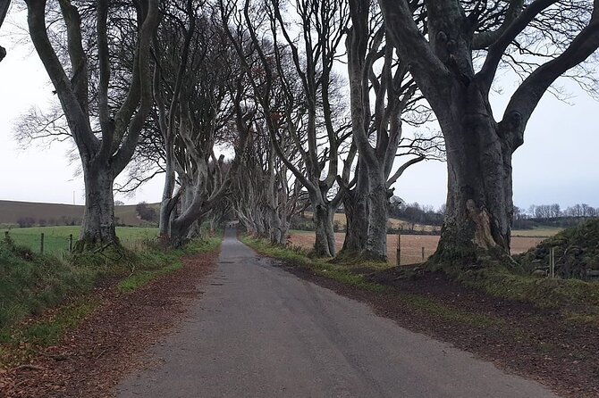 The Giants Causeway, Dunluce Castle and Belfast - Spanish Guide - Journey Through Northern Irelands Maritime Heritage