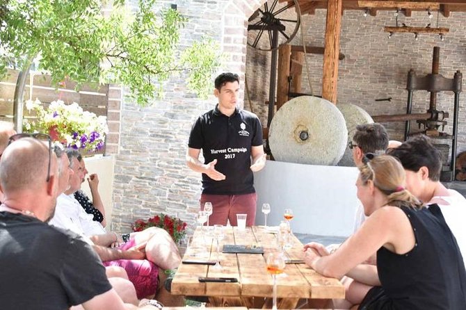 The Governor's Olive Mill Tour with Olive Oil Tasting - Key Points