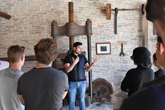 The Governor's Olive Mill Tour with Olive Oil Tasting - Pricing and Value