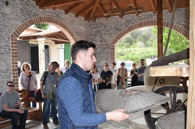 The Governor's Olive Mill Tour with Olive Oil Tasting - Final Thoughts