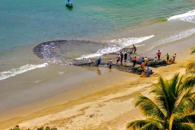 The Grand Circle 12-Hour All-Inclusive Island Experience - An In-Depth Look at the Tobago Grand Circle Experience