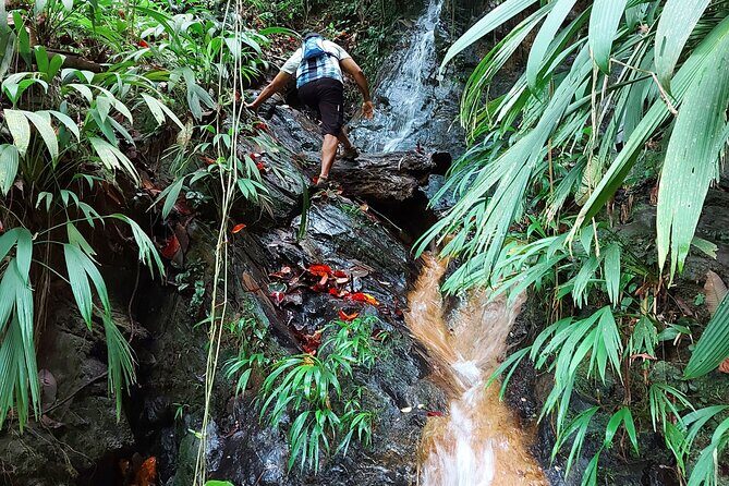 The Grand Circle 24-Hour All-Inclusive Island Experience - A Practical Overview of the Tour