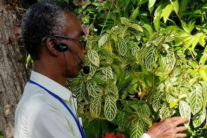 The Grand Tour of St. Kitts - A Closer Look at the Itinerary