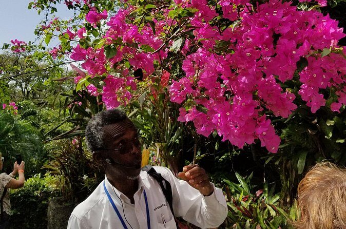 The Grand Tour of St. Kitts - Final Thoughts: Is It Worth It?