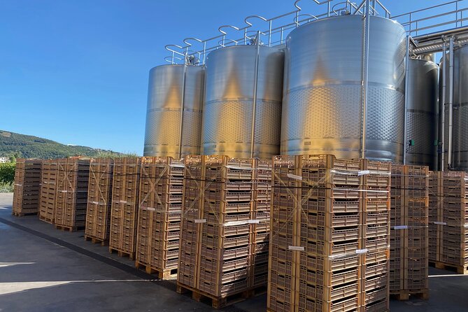 The Grand Tour of Valpolicella: 2 Wineries, Lunch & Amarone Focus - Accessibility and Booking Information