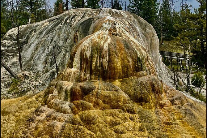 The Grand Yellowstone 3 day private experience from Cody Wyoming - A Complete Breakdown of the Experience