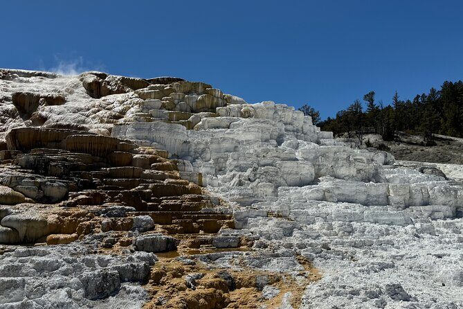 The Grand Yellowstone 3 day private experience from Cody Wyoming - The Bottom Line