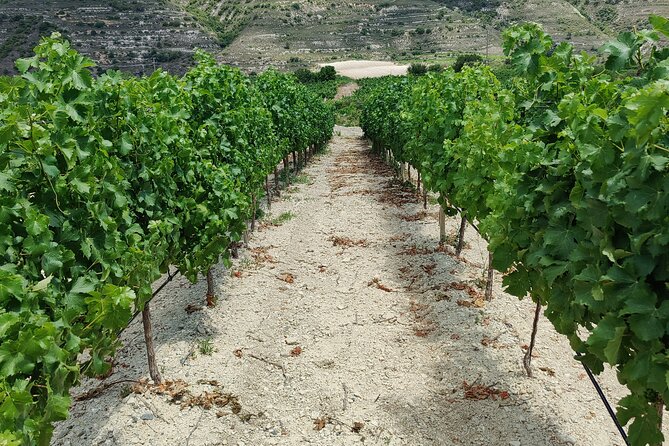 The Grape Escape: Troodos Mountains Tour Review - Dining and Cultural Immersion