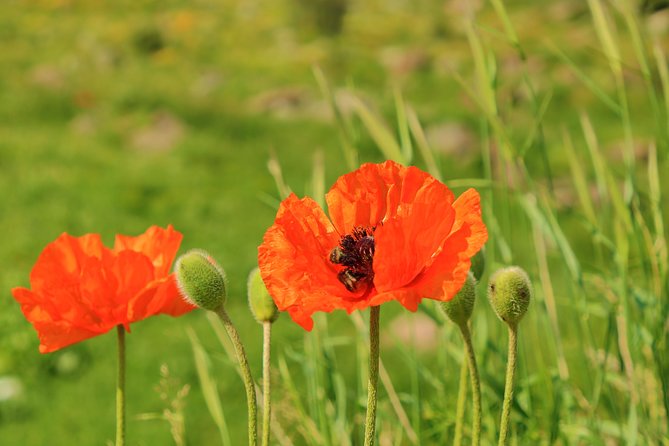 The Great Beauty of Armenia: 7-Day Culture and Cuisine Tour - Taking in the Rich History of Armenia