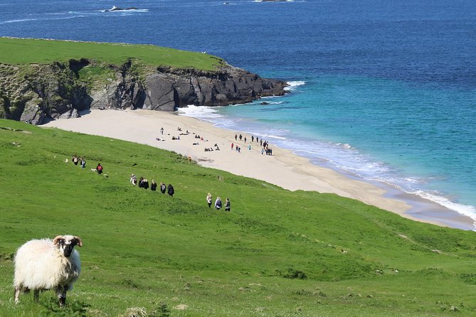 The Great Blasket Island Experience - Premium Tour - Why This Tour Stands Out