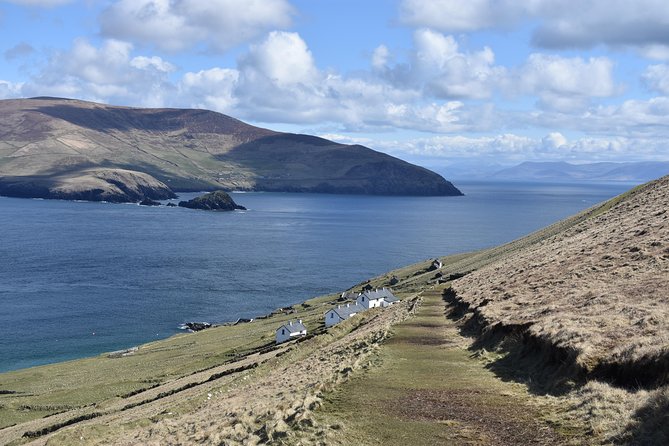 The Great Blasket Island Experience - Premium Tour - The Role of Guides and Crew