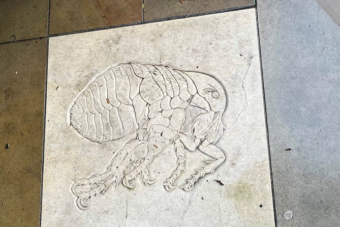 The Great Plague & Black Death Tour of London - FAQ