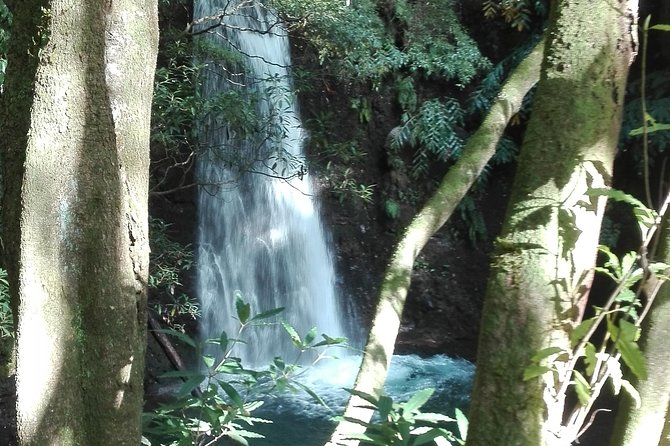 The Great Waterfalls Hiking Tour - Inclusions and Additional Information