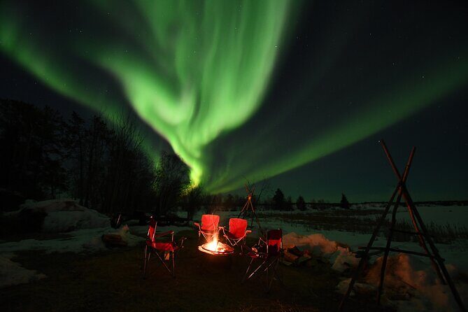 The Greatest Valuable Aurora Manor & Hunting Tour --Exclusive Tour Operator - Practical Details and Considerations