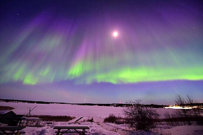 The Greatest Valuable Aurora Manor & Hunting Tour --Exclusive Tour Operator - Frequently Asked Questions
