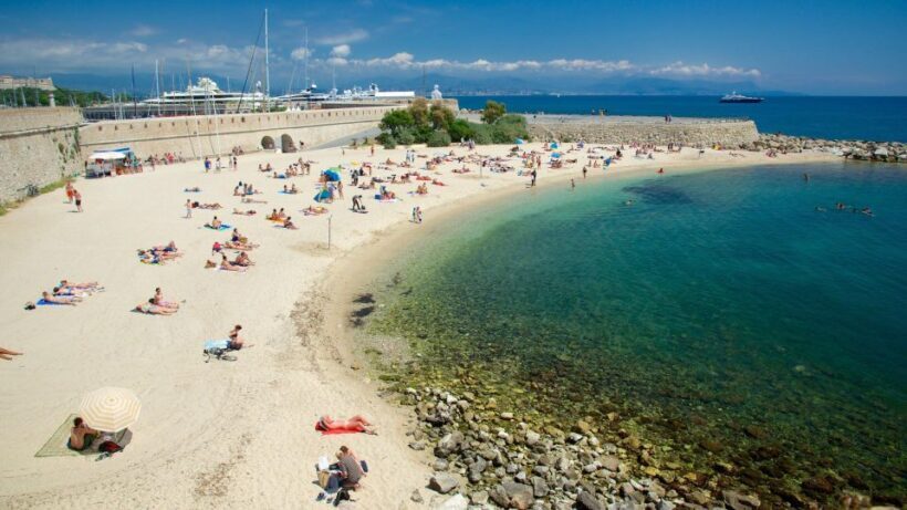 The Greats Painters and the French Riviera - Starting Point: Antibes and Its Vibrant Market