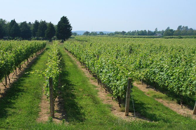 The Hamptons and Long Island Wineries Private Tour - Frequently Asked Questions