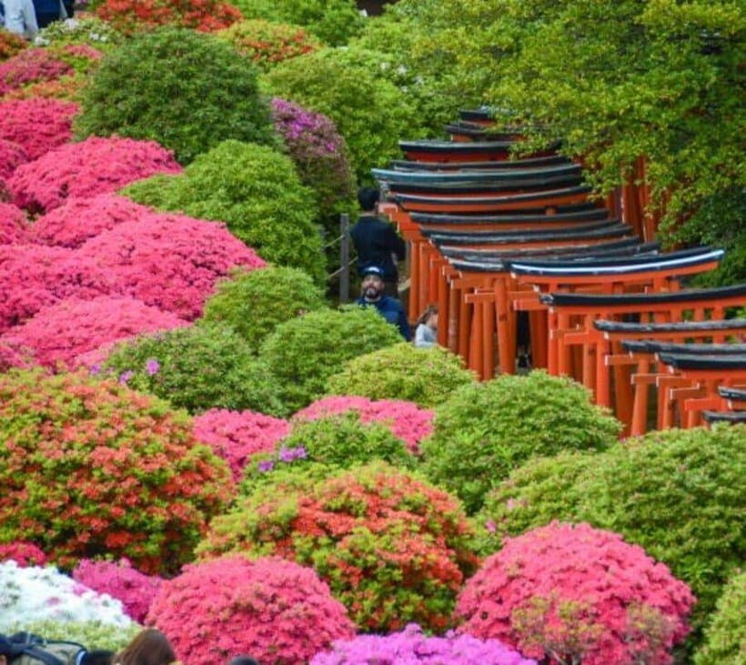 The hidden flavors of Yanaka: Tokyo's historic gourmet district - What’s Included and What’s Not
