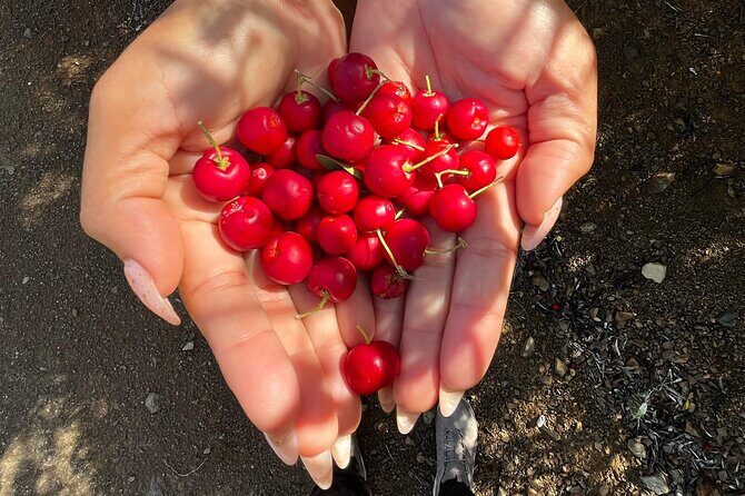 The Hidden Gems of Curacao - Key Points