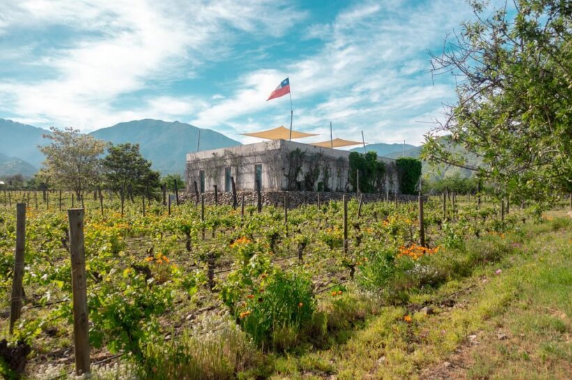 The hidden wineries of Maipo - Final Thoughts