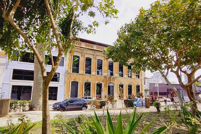 The Highlights of Manaus in a Private City Tour - Transformed Park