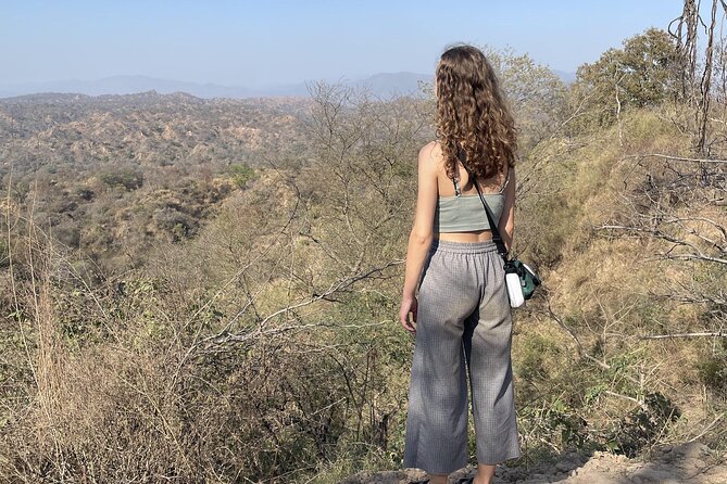 The Hipster Chandigarh Architecture History Tour - Who Should Book This Tour?