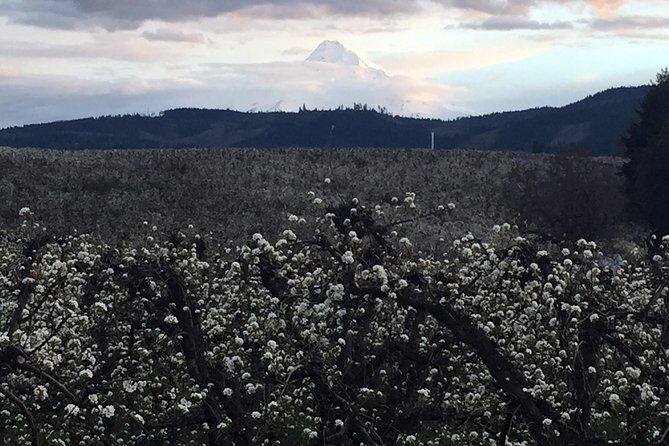 The Hood-Columbia Loop: Timberline, Orchards, and Waterfalls - FAQ