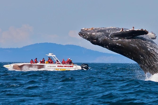 The Isle of The Pearl - 14 Days Tour - The Sum Up