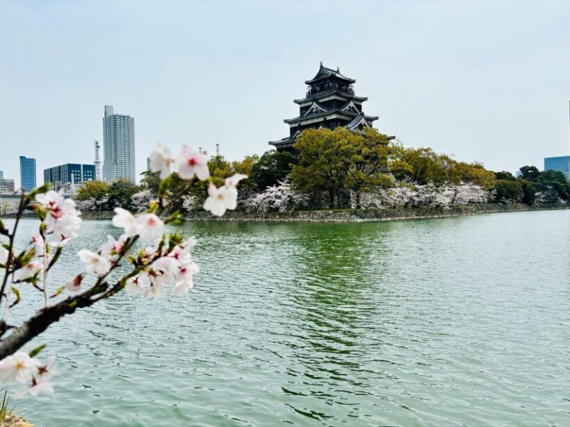 The Journey of Hiroshima from Tragedy to Peace - Final Thoughts