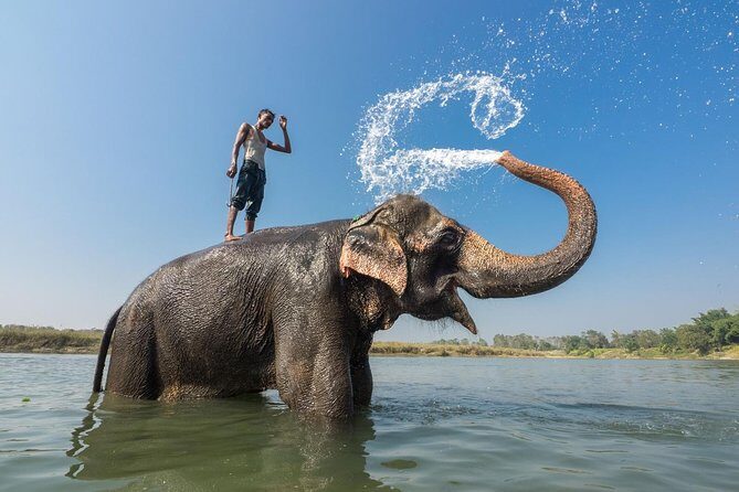 The jungle adventure - Who Will Love This Tour?