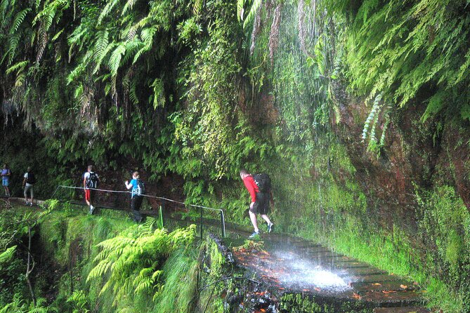 The King's Levada - Levada do Rei - Key Points