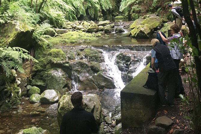 The King's Levada - Levada do Rei - Why This Tour Offers Great Value