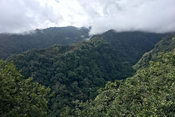 The King's Levada - Levada do Rei - What Reviewers Say