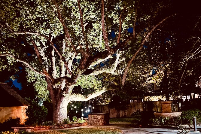 The Last Ride Private Golf Cart Ghost Tour for up to 5 People! - Whats Included in the Tour