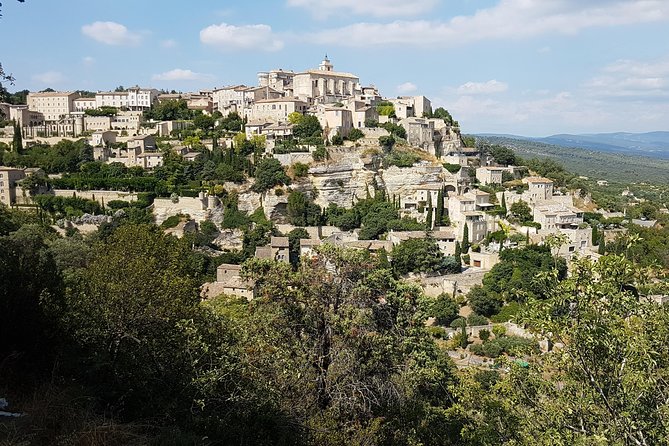 The Lavender country - Private tour with a local guide - Safety, Flexibility, and Practicalities