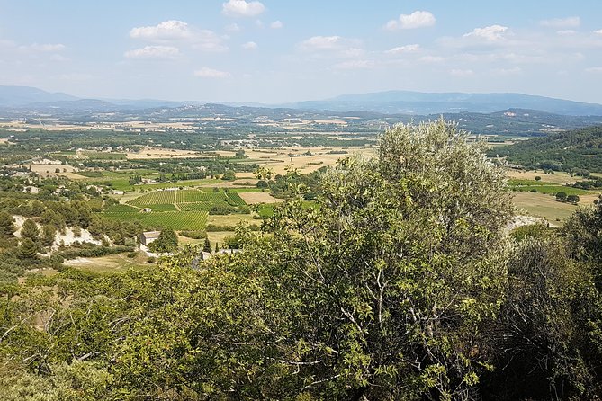 The Lavender country - Private tour with a local guide - Final Thoughts